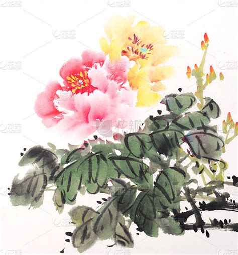 牡丹，中国传统水墨画。