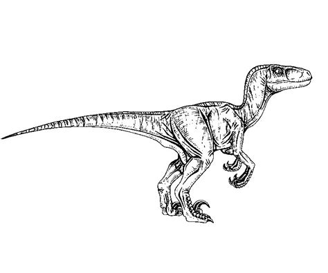 Jurassic Park 15888 Películas Dibujos para Colorear e Imprimir Gratis