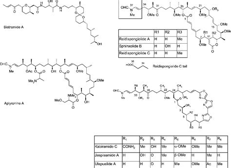 Figure 1 From The Structural Determinants Of Macrolide Actin Binding