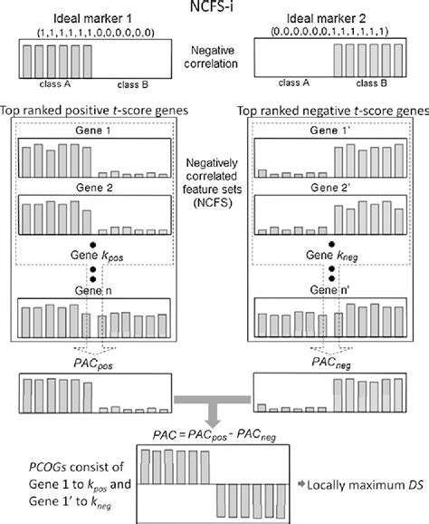 Pathway Based Microarray Analysis For Robust Disease Classification