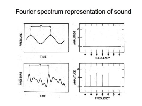 Perception Lecture Notes The Ear