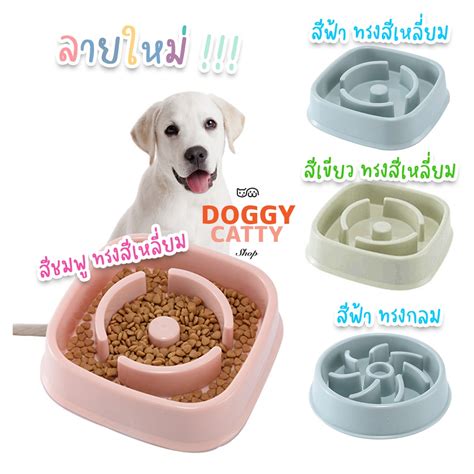 ชามอาหารฝึกให้ทานช้าลง ชามช่วยลดการสำลัก ชามกันมูมมาม สุนัขและแมว