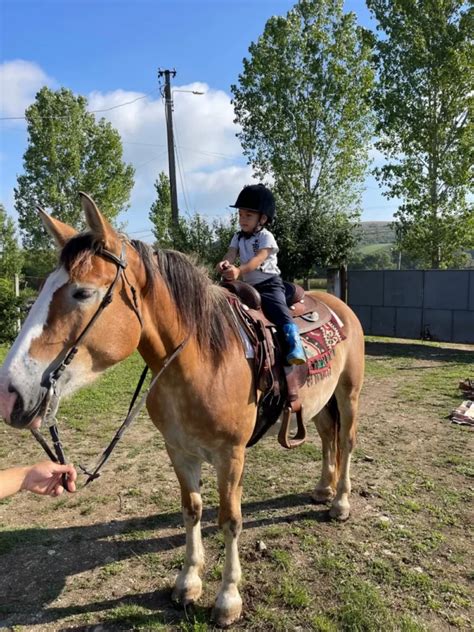 2026 Echitatie La Munte 🛎️casa Dives