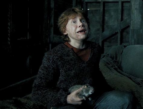 Ron Harry Potter And The Prisoner Of Azkaban 2004 Ron Weasley