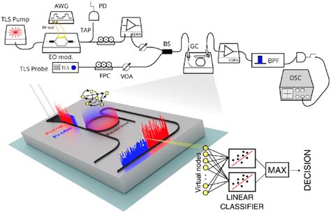 Sketch Of The Experimental Setup Tls Tunable Laser Source Awg Download Scientific Diagram