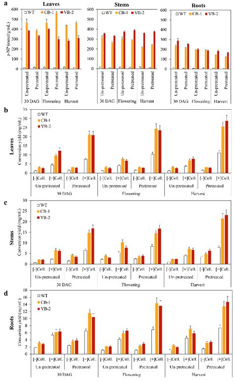 A β Glucosidase Activity In Samples Of Leaves Stem And Roots Of The