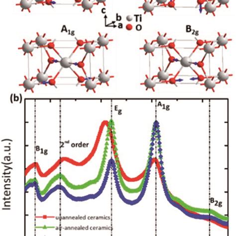 A Raman Active Modes Eigenvectors Of Rutile Tio2 The Sizes Of Download Scientific Diagram