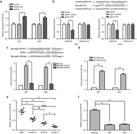 Microrna 139 Mir 139 Was Down Regulated By Histocompatibility