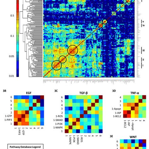 Pair Wise Similarity Matrix Of Literature Defined Pathways The Jaccard