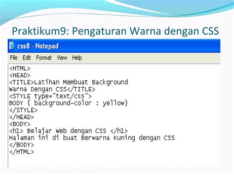 Praktikum Dasar Dasar CSS Pdf