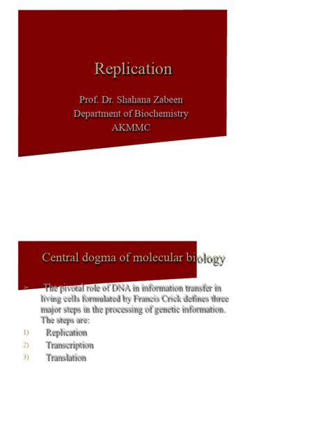5 Replicationppt Pdf Dna Replication Dna
