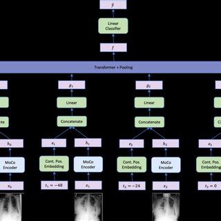 Schematic Of The Multiple Image Prediction MIP Model The MIP Model Download Scientific