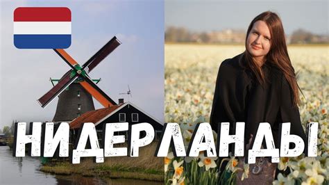 НИДЕРЛАНДЫ НА МАШИНЕ САМЫЕ КРАСИВЫЕ МЕСТА ГОЛЛАНДИИ ДЕЛФТ ГИТХОРН