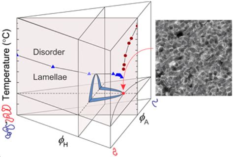 Publications Hickey Research Group