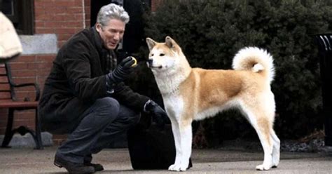 Hachiko η ιστορία ενός σκύλου