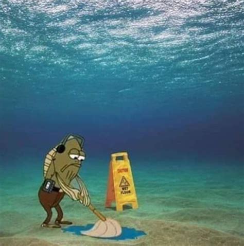 Meme Bob Esponja Pez Memes Divertidos