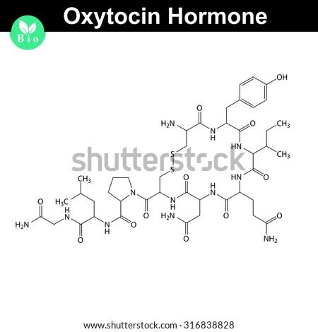 Oxytocin Peptide Hormone D Structure Vector Model Of Molecule Eps 0 The Best Porn Website