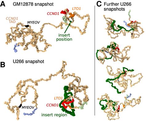 High Resolution Simulations Of Chromatin Folding At Genomic