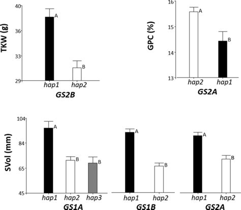 Mean Phenotypic Value Associated To Individual Haplotypes For The Gs