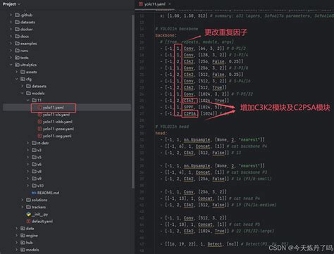 yolov11入门到入土使用教程 含结构图