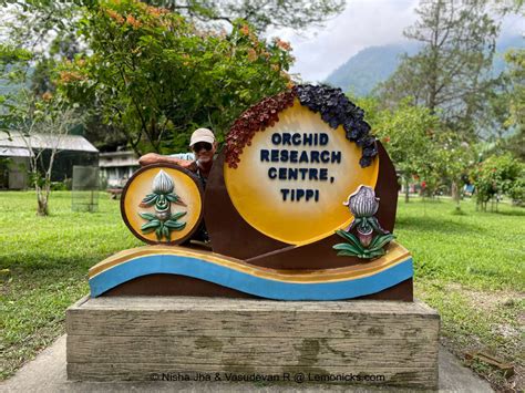 Remarkable Things To Do In Bhalukpong Arunachal Pradesh