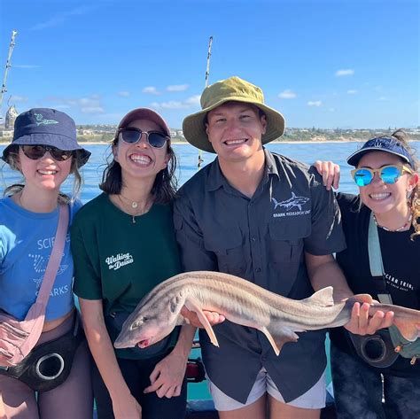 What Is The Difference Between Swell And Waves