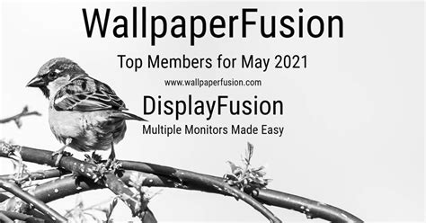 Congratulations To Our Top Binary Fortress Software