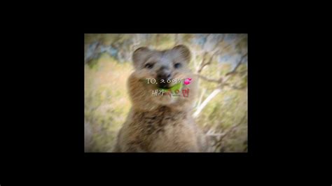 ㄱㅊㅎ 내가 조아해💞 나랑 게속해줘 ️‍🔥 Youtube