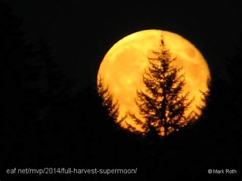 Full Harvest Supermoon Aint Complicated