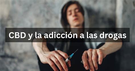 Cbd Y La Adicción A Las Drogas