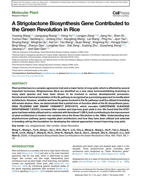 Pdf A Strigolactone Biosynthesis Gene Contributed To The Green Revolution In Rice