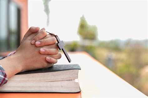 거룩한 성경에 나무 십자가를 들고 기도하는 젊은 손을 닫습니다 기독교 개념 개념에 대한 스톡 사진 및 기타 이미지 개념
