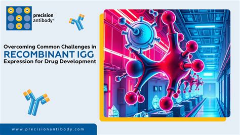 Overcoming Common Challenges In Recombinant Igg Expression For Drug