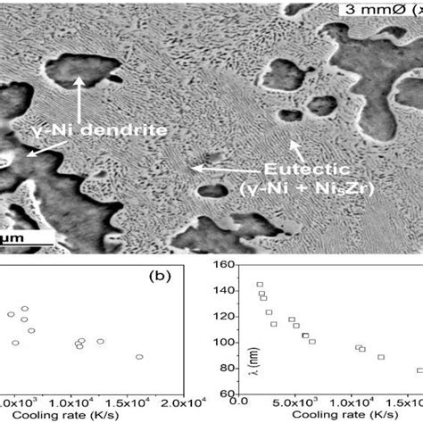 Simulated Solidification Structure In The Centre Equiaxed Crystal Zone Download Scientific