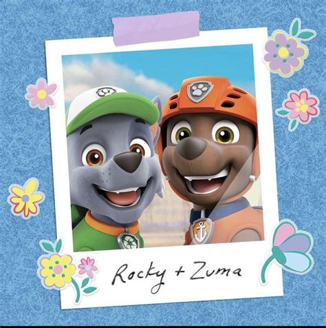 Paw Patrol Post This On Their Instagram Fandom