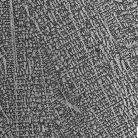 Microstructure Of Hp Nb Steel With Austenite Dendritic Structure And