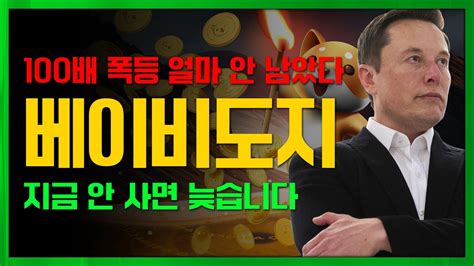일론 머스크의 베이비 도지코인 폭등 계획 비밀을 공개합니다 베이비도지코인 도지코인 일론머스크 리플코인