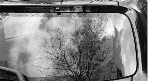 Jenis Jenis Kaca Film Mobil Dan Kelebihannya Suzuki Rmk