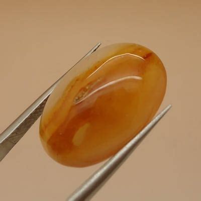 Mustika Tundung Bawuk Pusaka Dunia