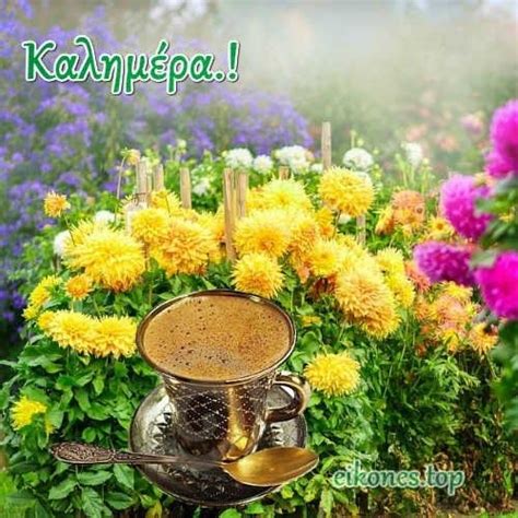 Ομορφες καλημέρες με όμορφες ντάλιες Eikones Top