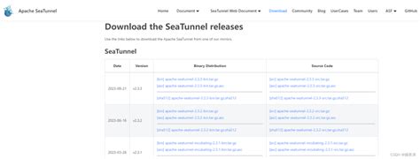 Apache Seatunnel Web