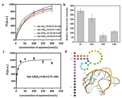 Biosensors Free Full Text Screening Of Single Stranded Dna Aptamer Specific For Florfenicol