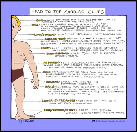Coronary Artery Disease And Angina Flashcards Quizlet