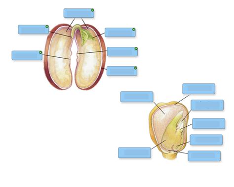 Unit 3 Ch 10 Diagram Quizlet