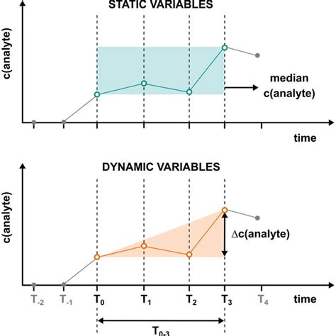 Calculation Of Static Time Independent And Dynamic Time Dependent Download Scientific