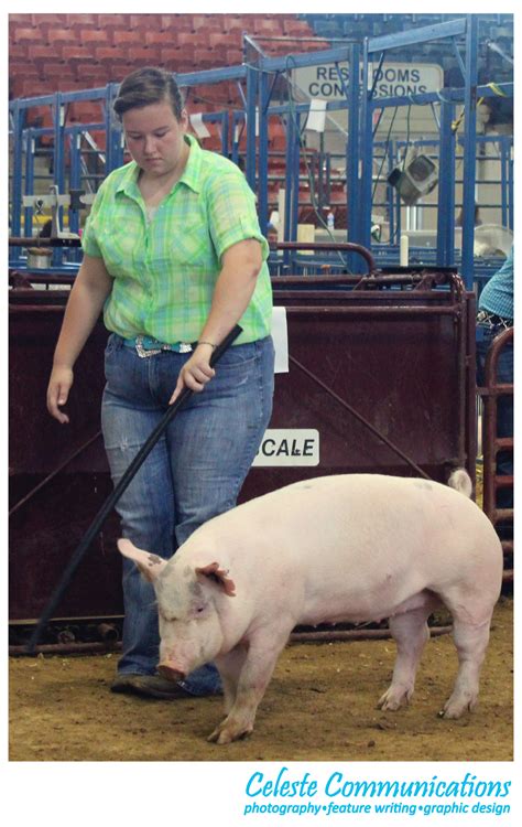 Livestock Show Mom Quotes Quotesgram