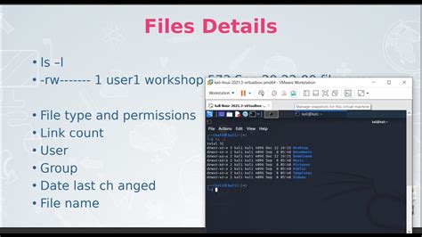 Linux Tutorial 6 Urduhindi Linux Commands Ls L Command Detail