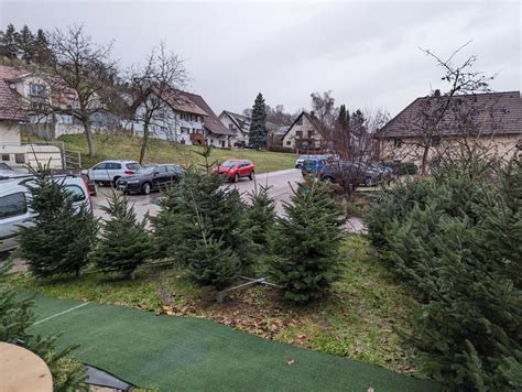 Eine Gelungene Premiere Die 1 Adventsscheune Beim Sv Au Wittnau Sv