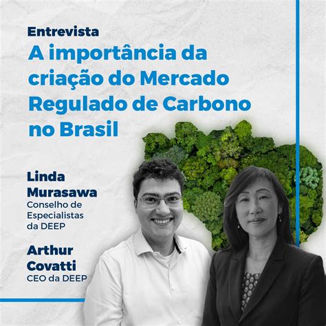 A Importância Da Criação Do Mercado Regulado De Carbono No Brasil