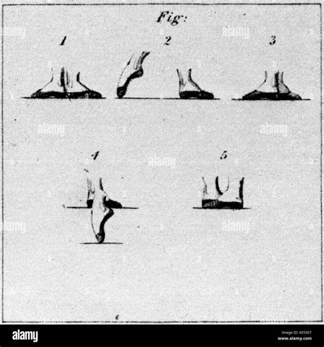 Waltz Dance Guide